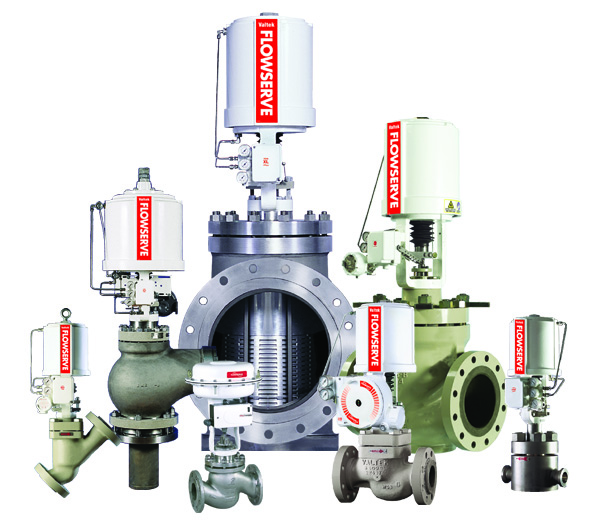 Valtek Control Valves – PRO-QUIP
